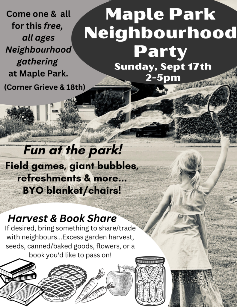 Maple Park Neighbourhood Party | Neighbourhood Small Grants