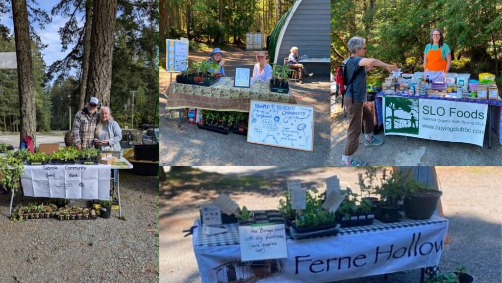 Food Security Fair | Neighbourhood Small Grants